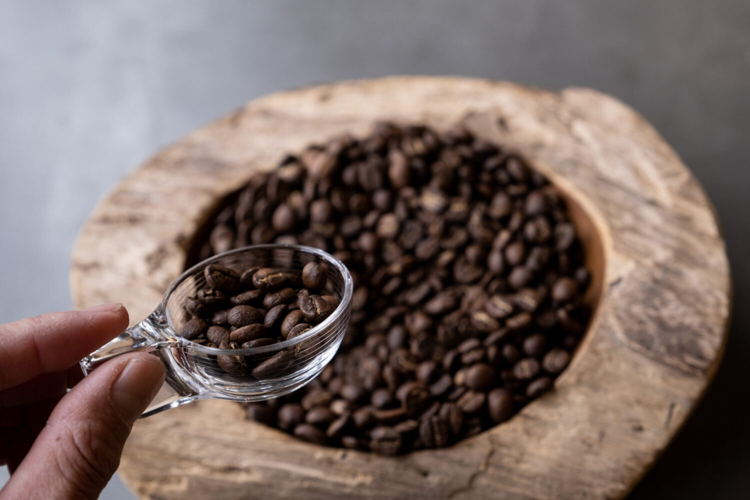 コーヒー豆 - DEARS COFFEE（ディアーズコーヒー）