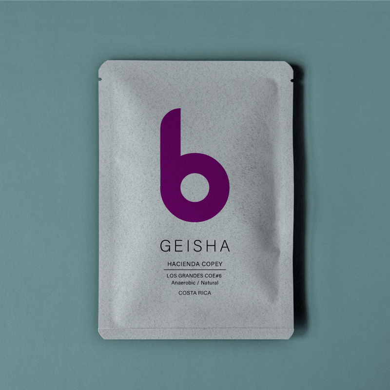 ドリップバッグコーヒー ゲイシャ コスタリカ / ハシエンダコペイ COE #6 - DEARS COFFEE（ディアーズコーヒー）