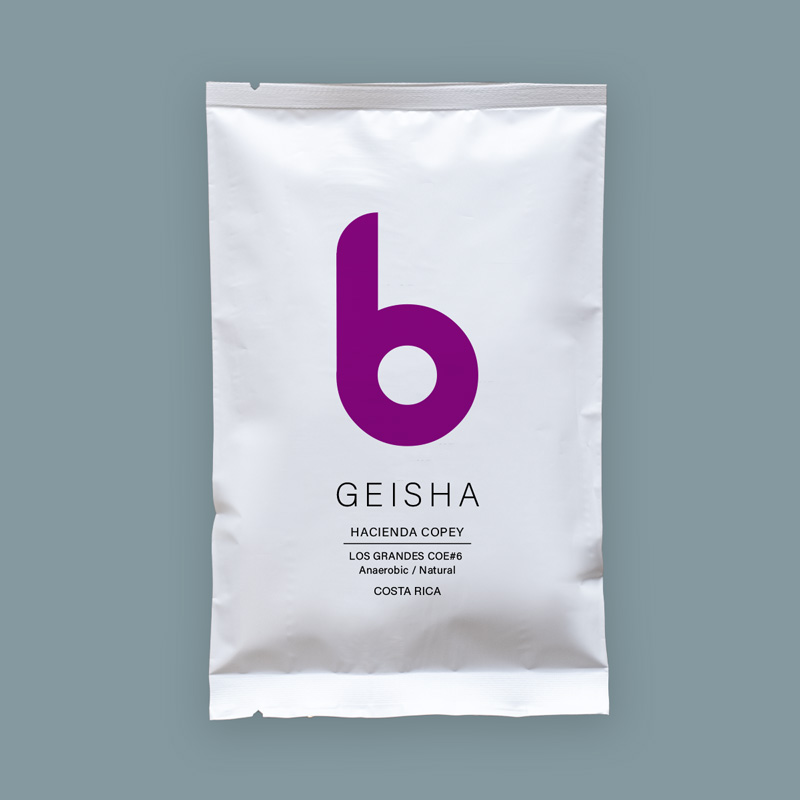 ゲイシャ （コスタリカ / ハシエンダコペイ COE#6）100グラム - DEARS COFFEE（ディアーズコーヒー）