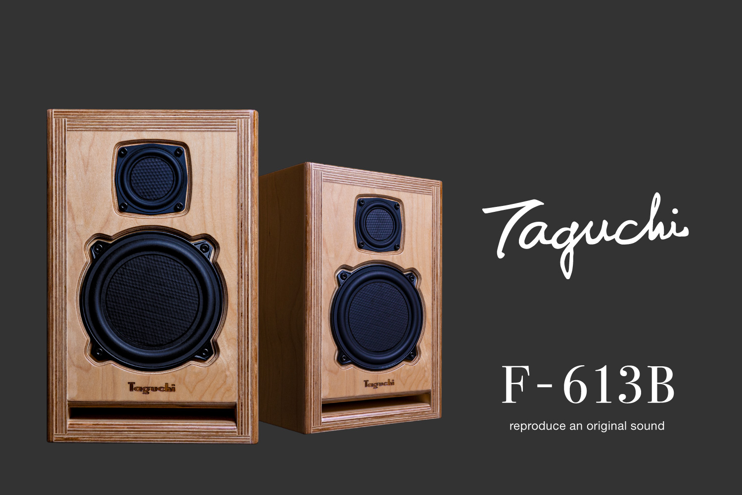 楽器のような自然な響き / Taguchi（タグチ）F613-B - DEARS COFFEE（ディアーズコーヒー）